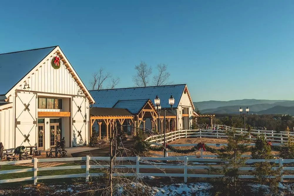 Top 5 Things to Know About the Festival of Lights Event at Skyland Ranch