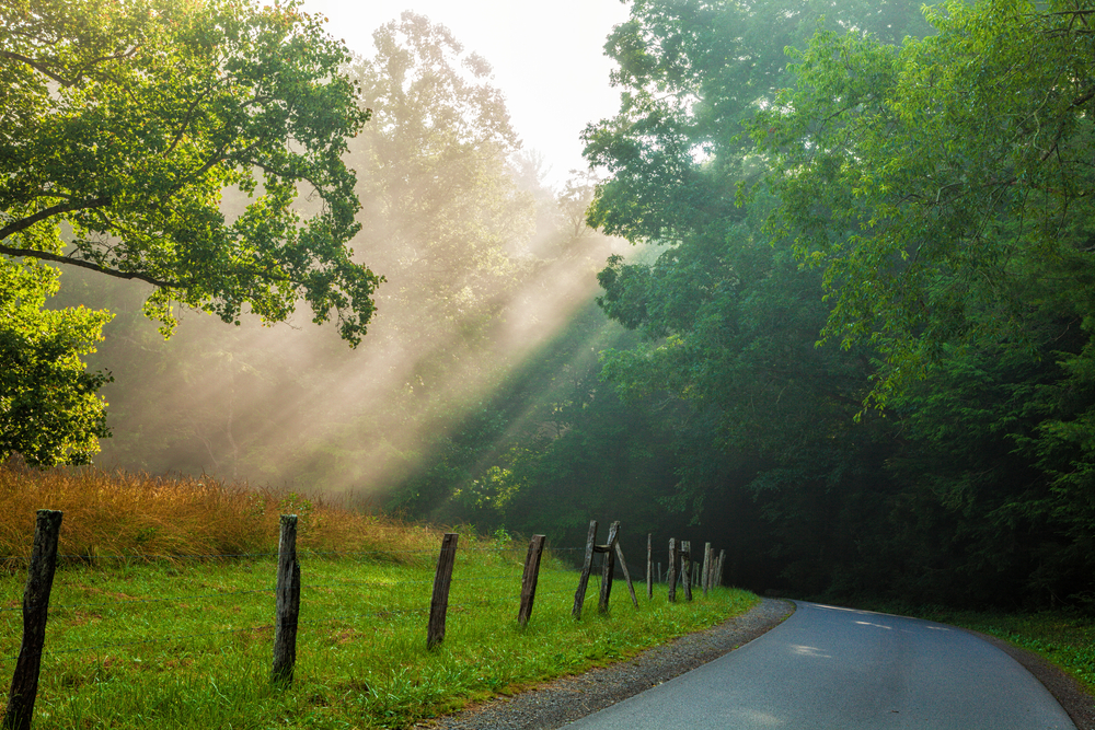 Top 4 Reasons Why You’ll Want to Experience Cades Cove Loop Road